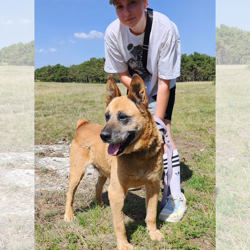 Спасите Хантера из отлова