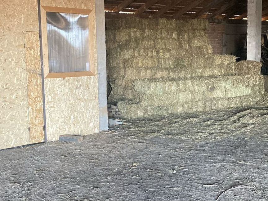 Сено из под склада