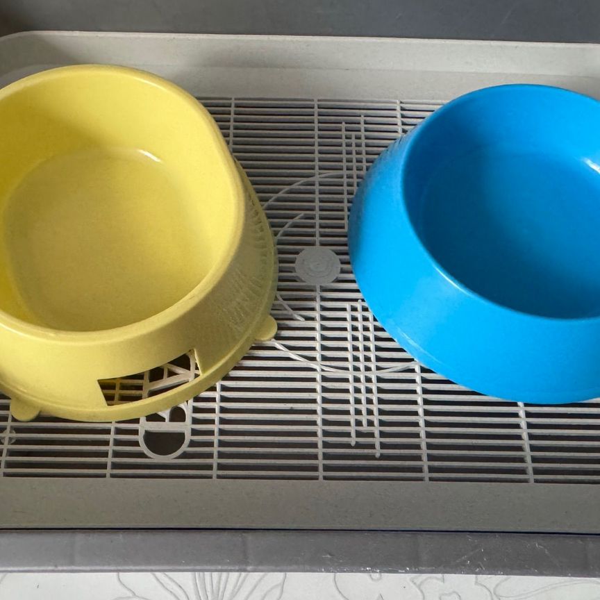 Лоток и 2 миски