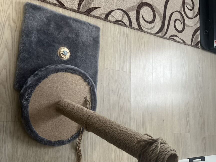 Когтеточка отдам сломана