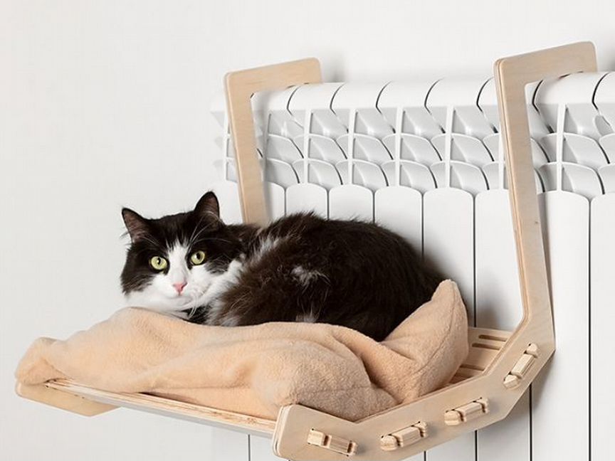 Настенные комплексы для кошек. Лежанки для кошек