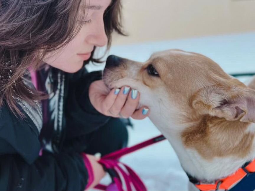 Собачка Белла