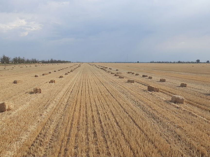 Тюки салома