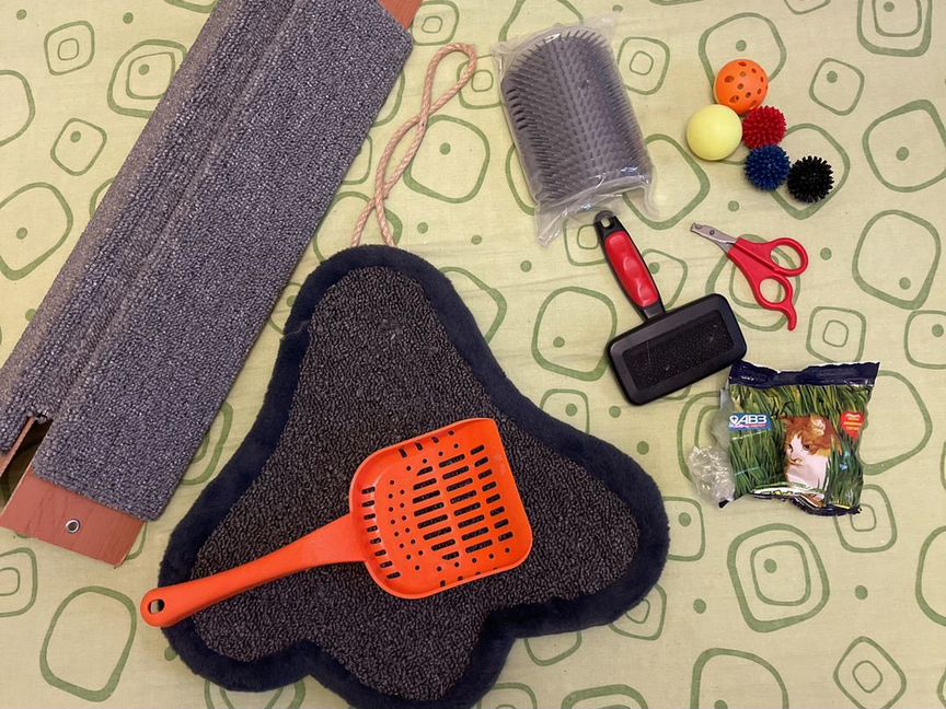 Набор для котенка или кота, кошки