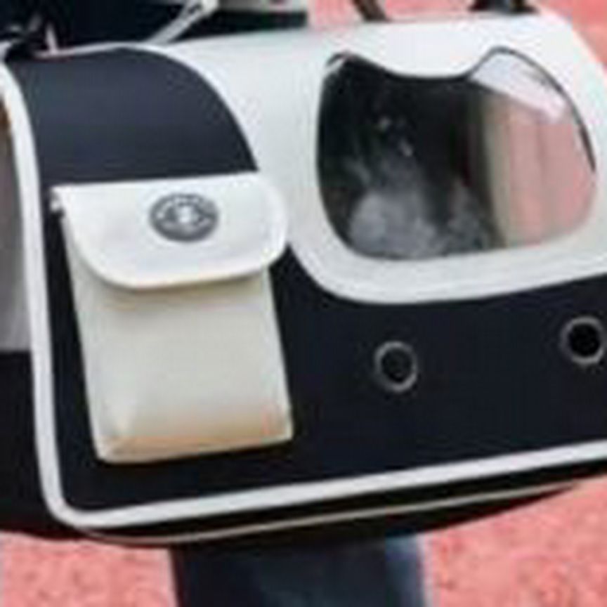 Переноска для кошек бу