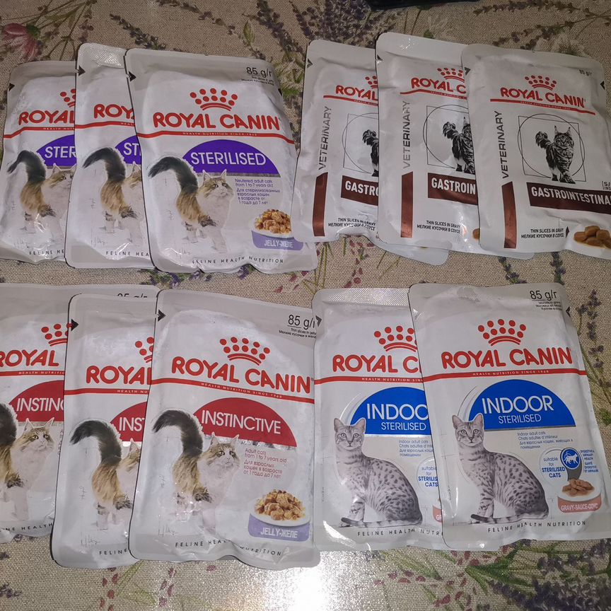 Корм для кошек royal canin влажный