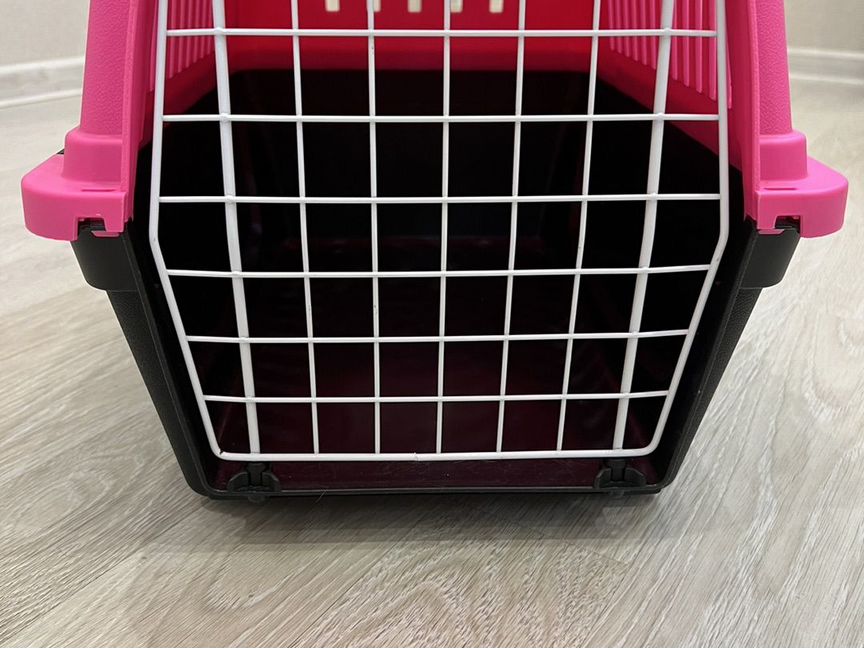 Аренда переноски для собак