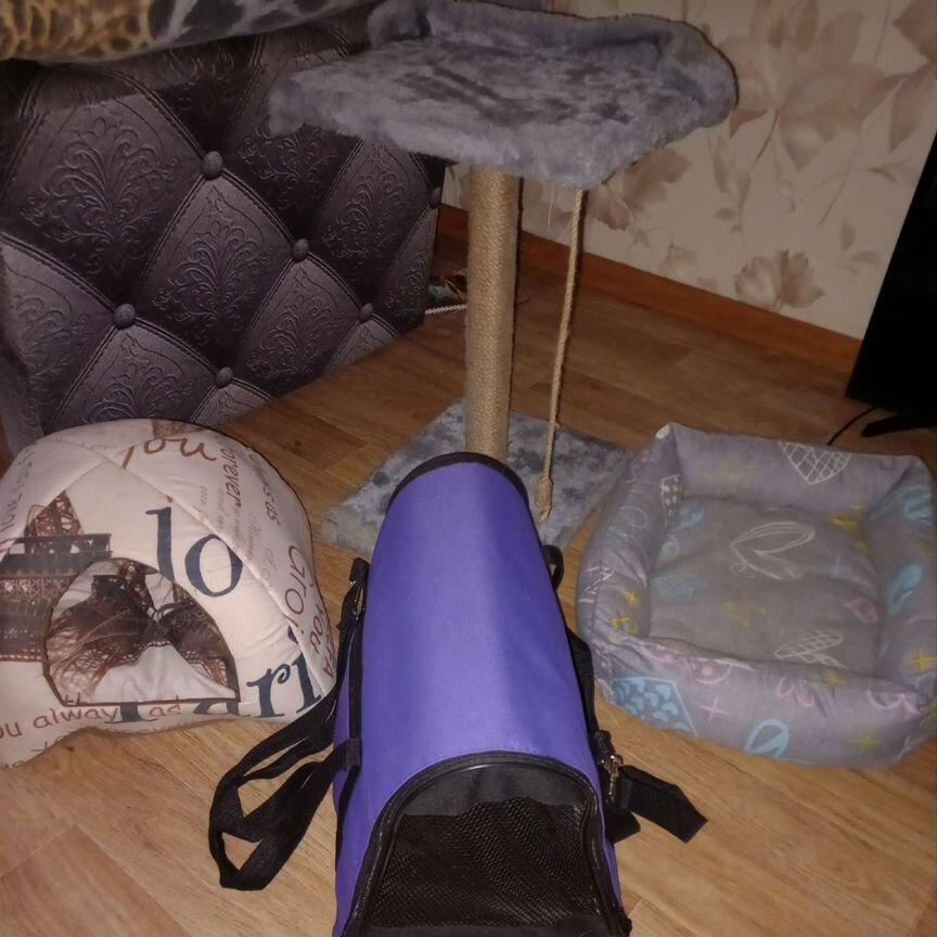 Влажный корм для кошек