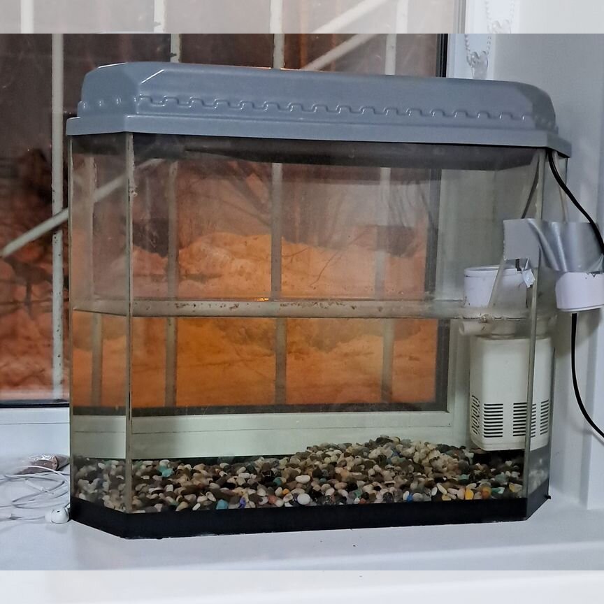 Аквариум с рыбами