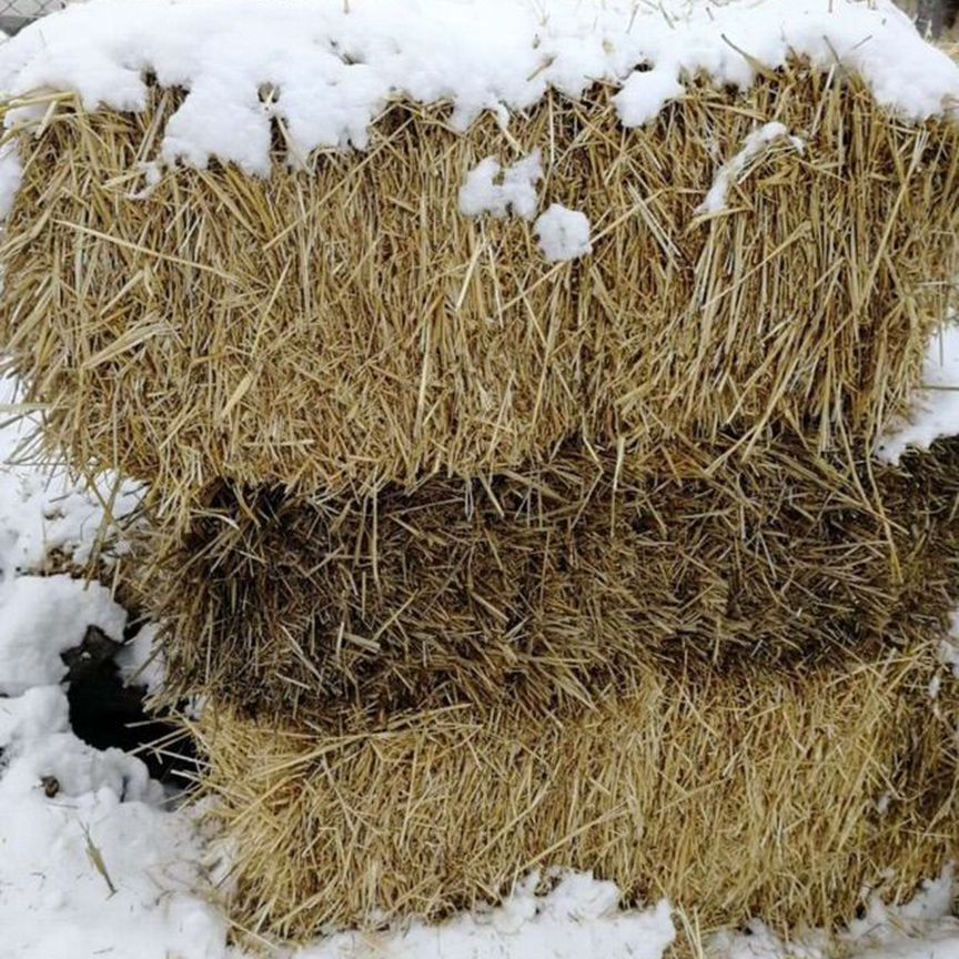 Солома в тюках