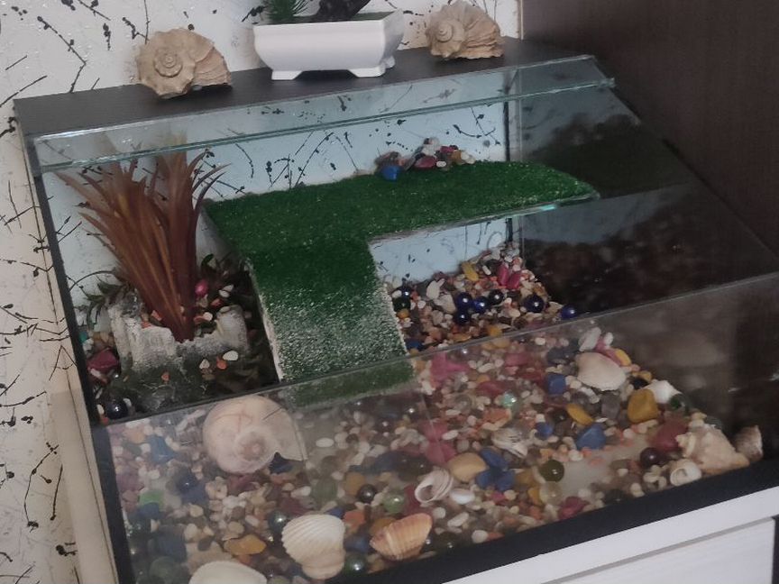 Аквариум черепашник