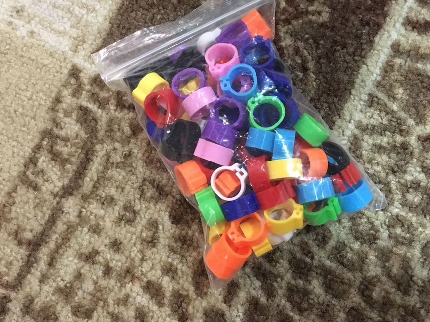 Кольца для птиц