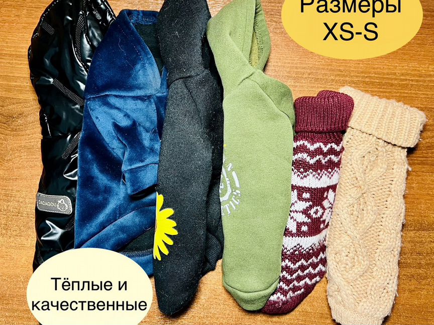 Одежда для маленьких собак