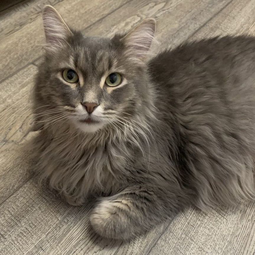 Серёжа ждёт своего человека