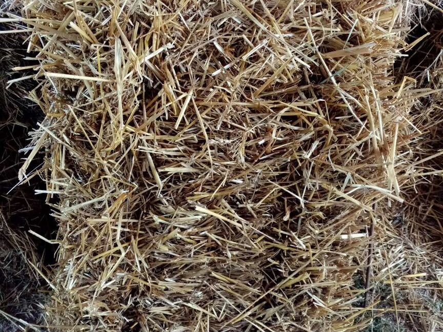 Солома ячмённая в тюках
