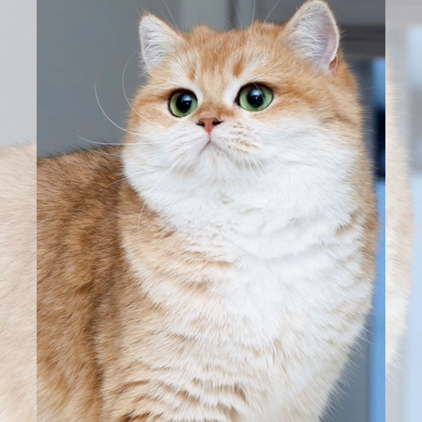 Коаспвец для вязки