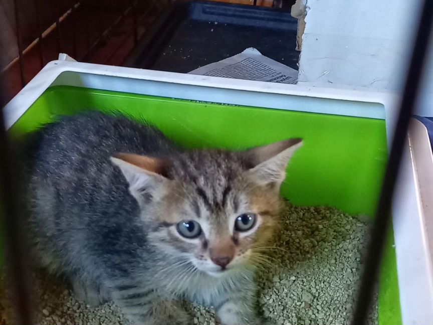 Заберите малыша домой