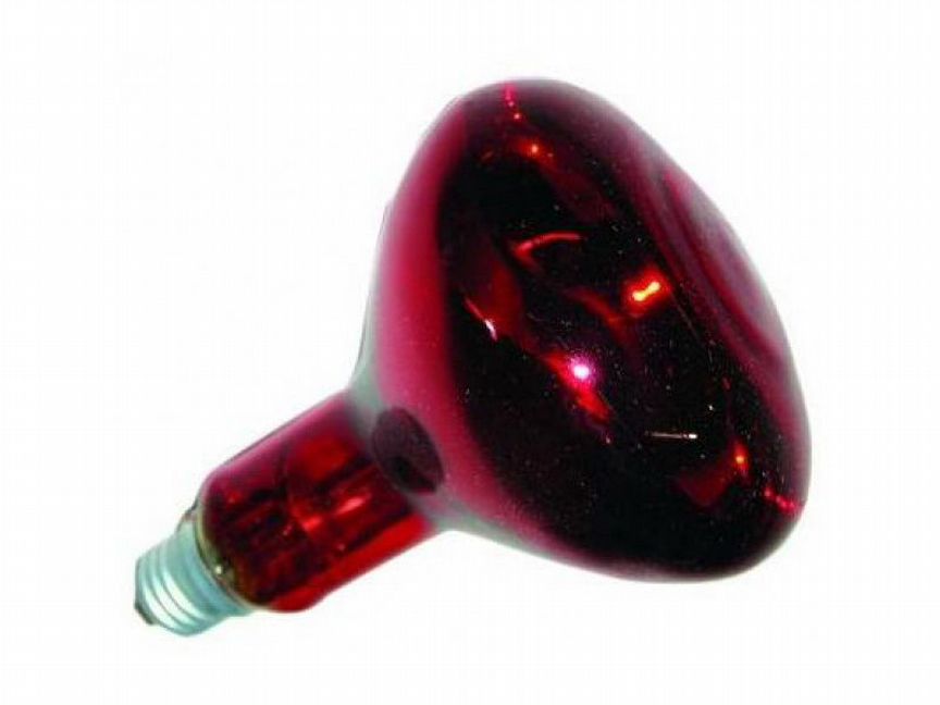 Лампа накаливания инфракрасная 250вт красная