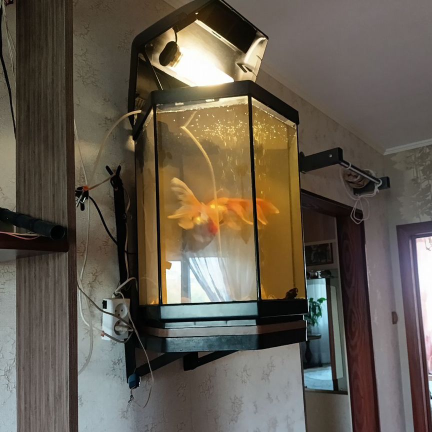 Аквариум с рыбками 60 литров подвесной