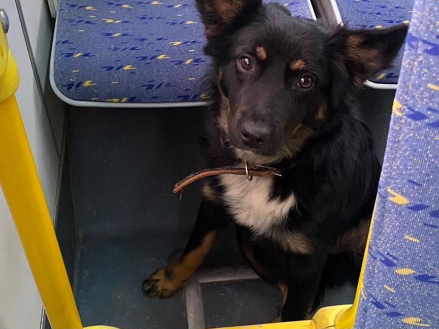 Сколько он пережил и не кто не берет