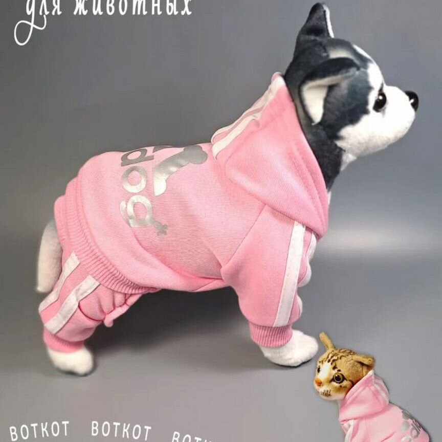Костюм для собак и кошек