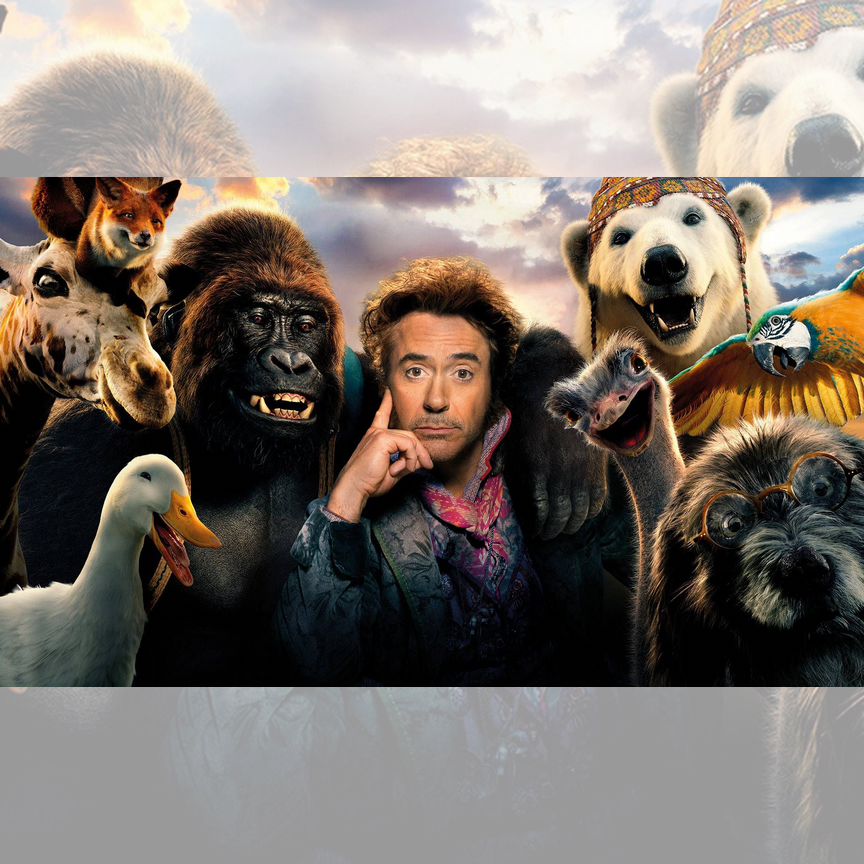 Передержка домашних животных