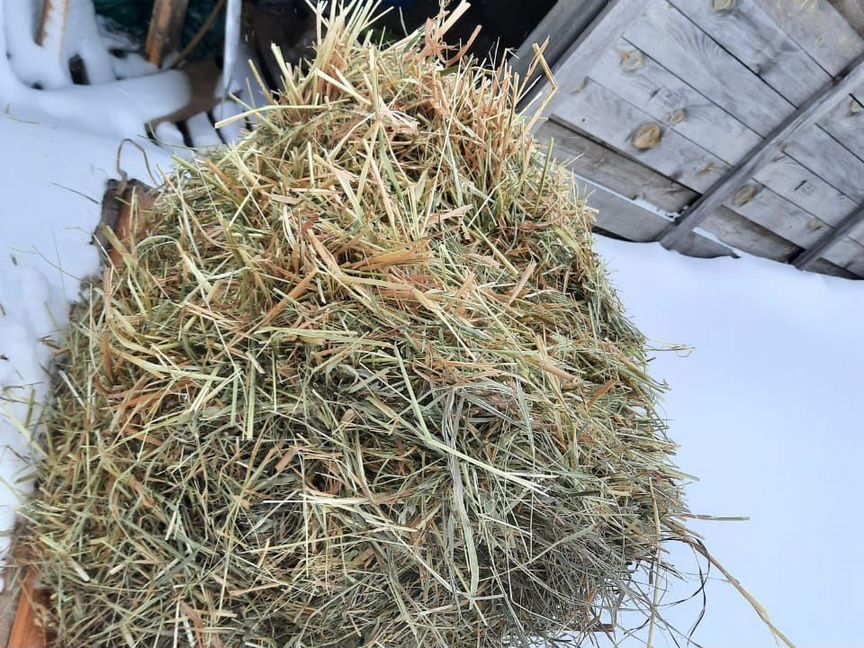 Продаю сено