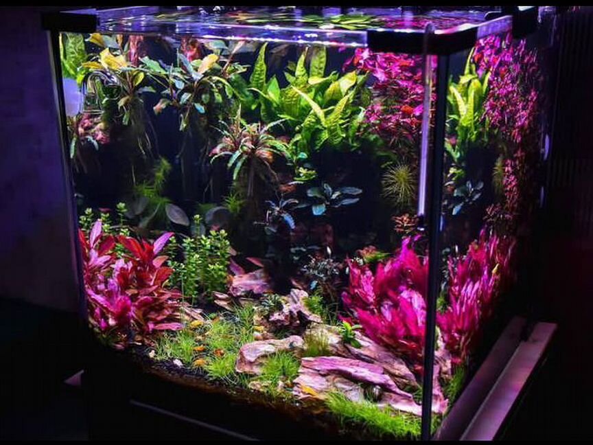 Аквариум Куб + оборудование