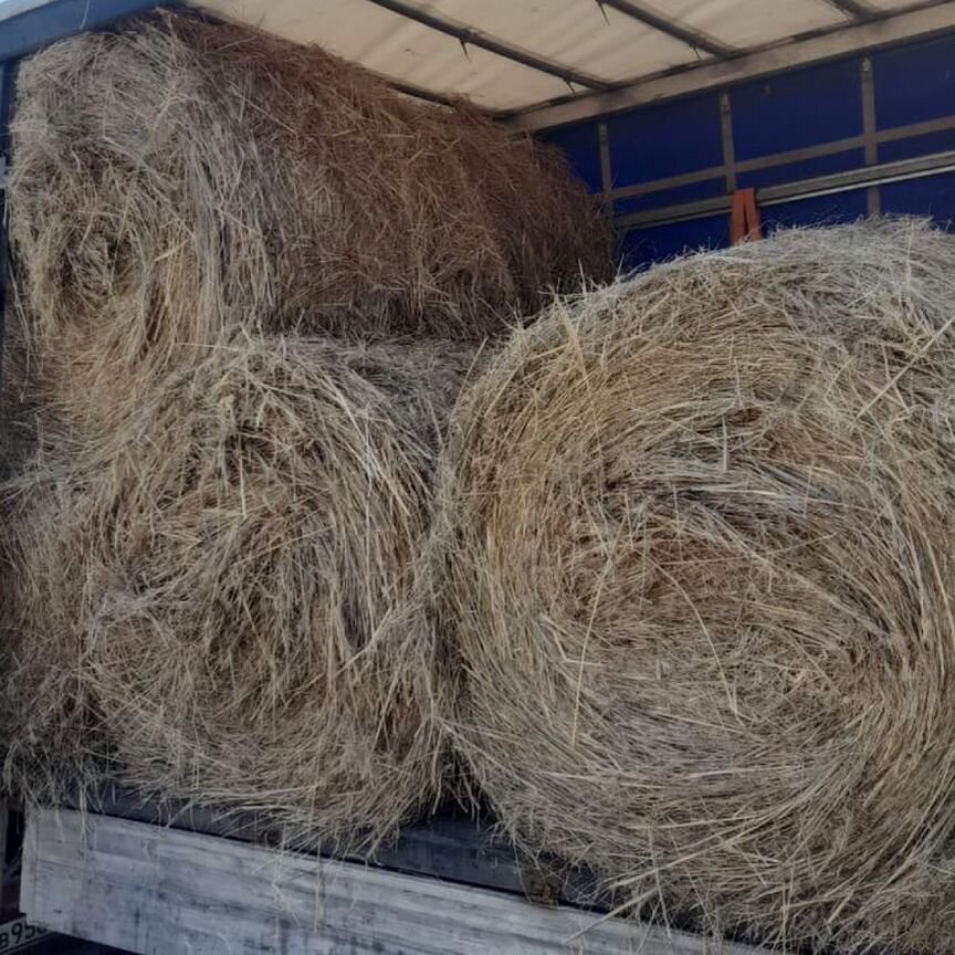 Сено с доставкой