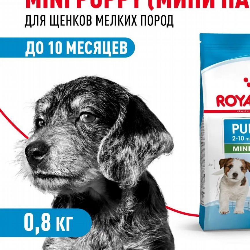 Корм для собак royal canin puppy