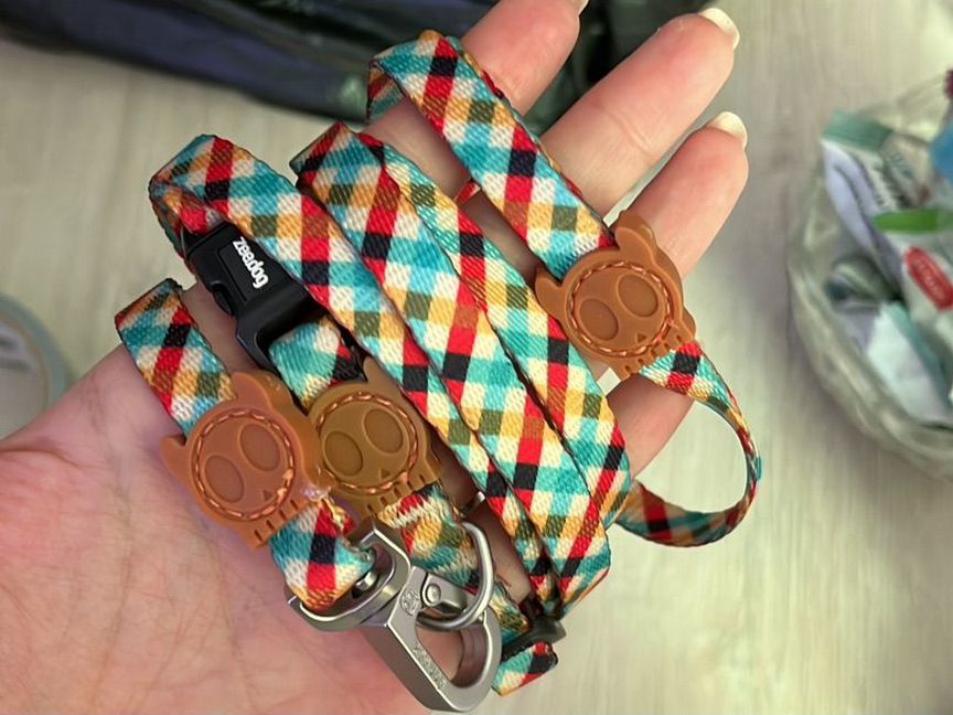 Ошейник и поводок zee dog