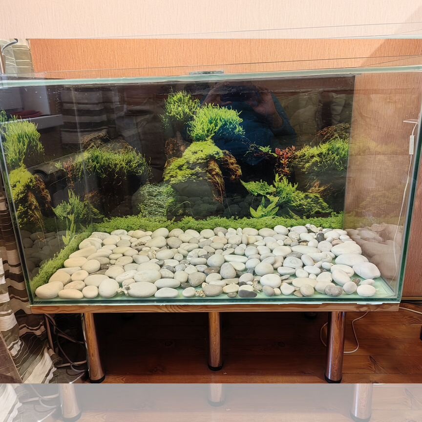Аквариум с тумбой 300 литров   оборудование