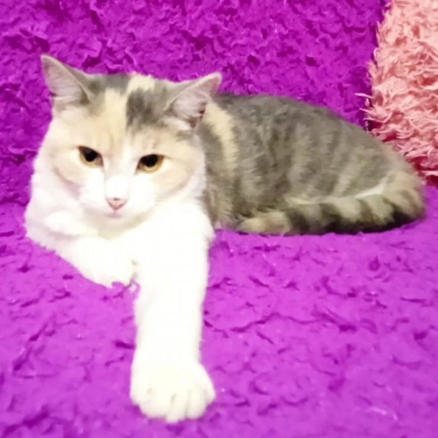 Полторашка и милка