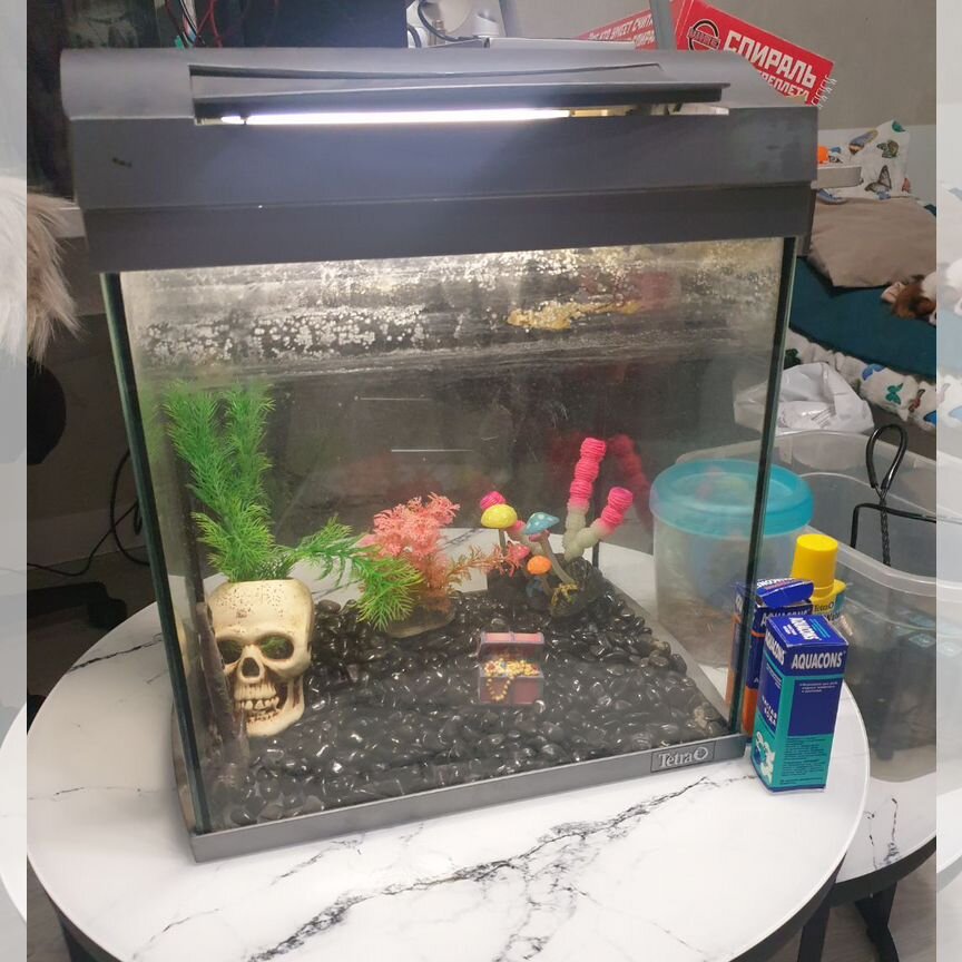 Аквариум