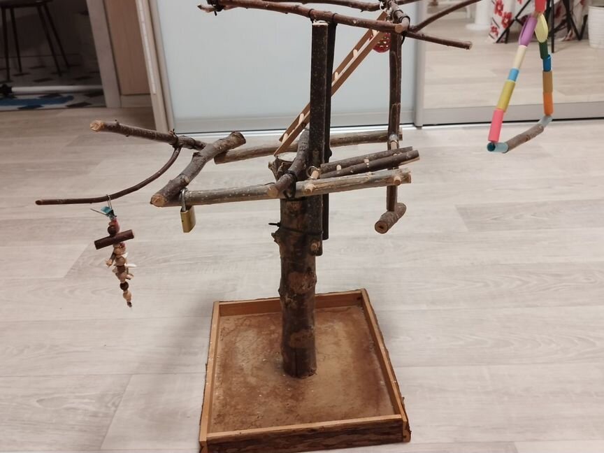 Дерево для птиц попугая