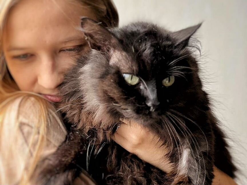 Кто шоколадного цвета