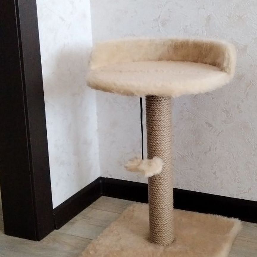 Когтеточка новая