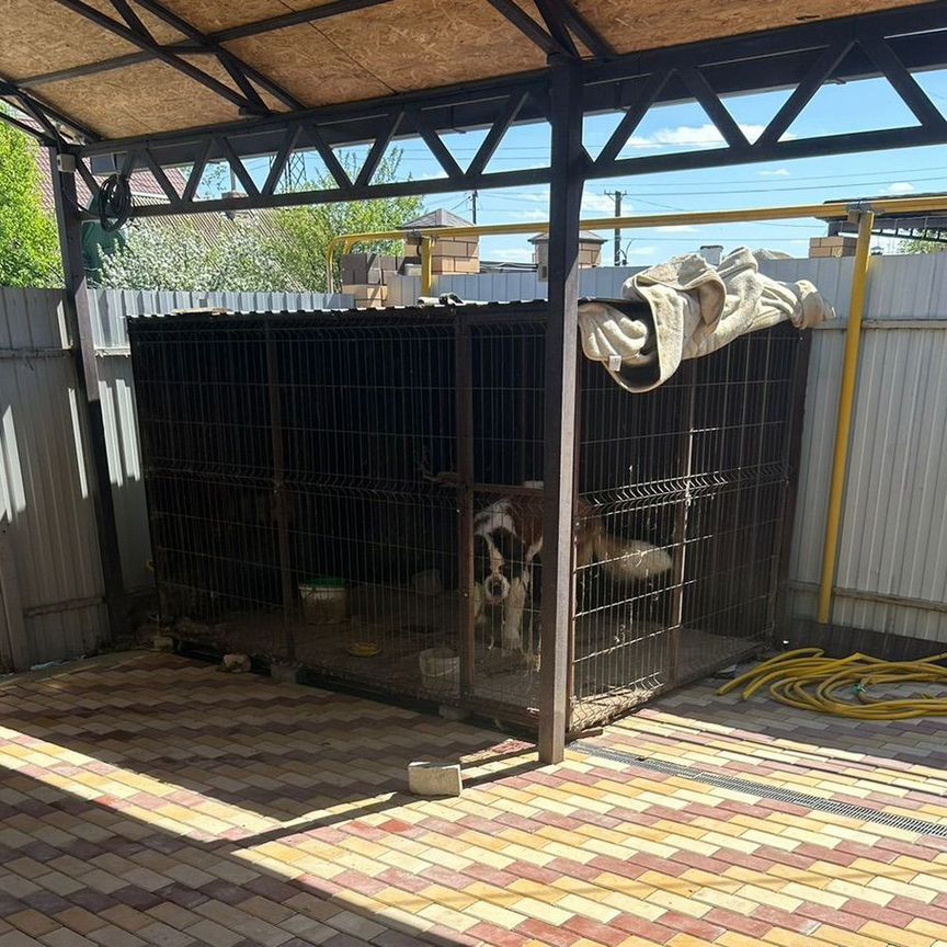 Вольер для собак уличный