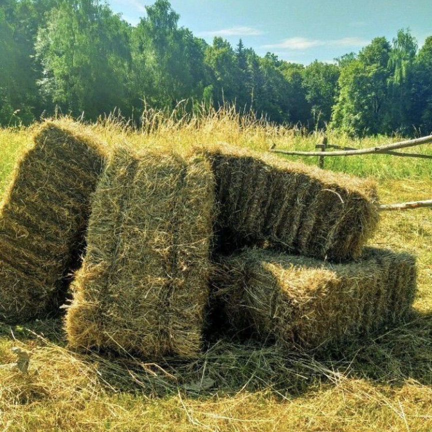 Сено в тюках