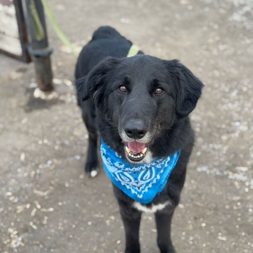 Есть ли шанс у Кая обрести семью