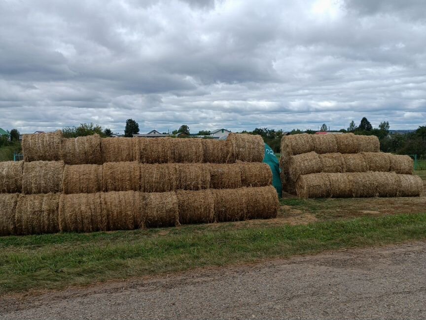 Сено и солома,рулонах 2023