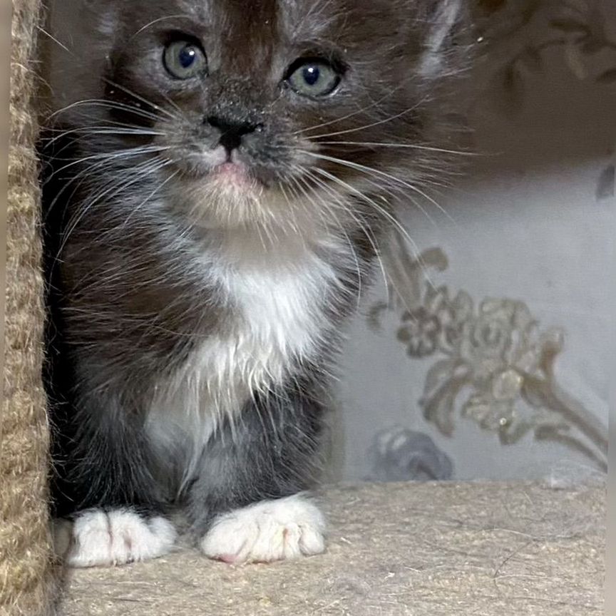 Милейшие малышки