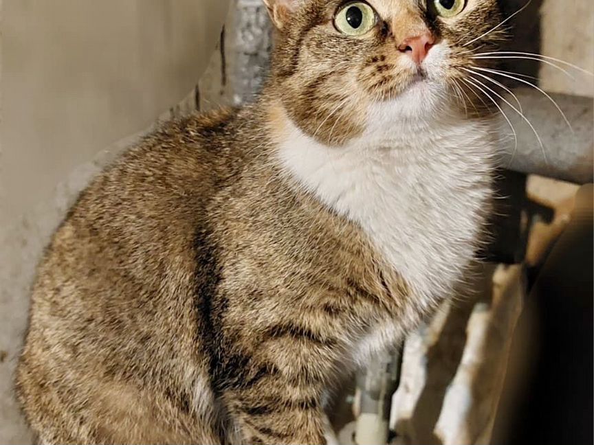 Я-Люсенька. Ласковая и благодарная