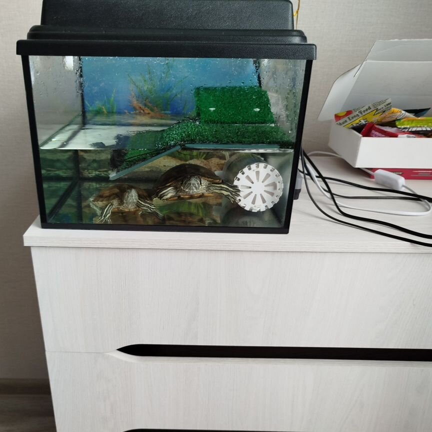 Акватеррариум