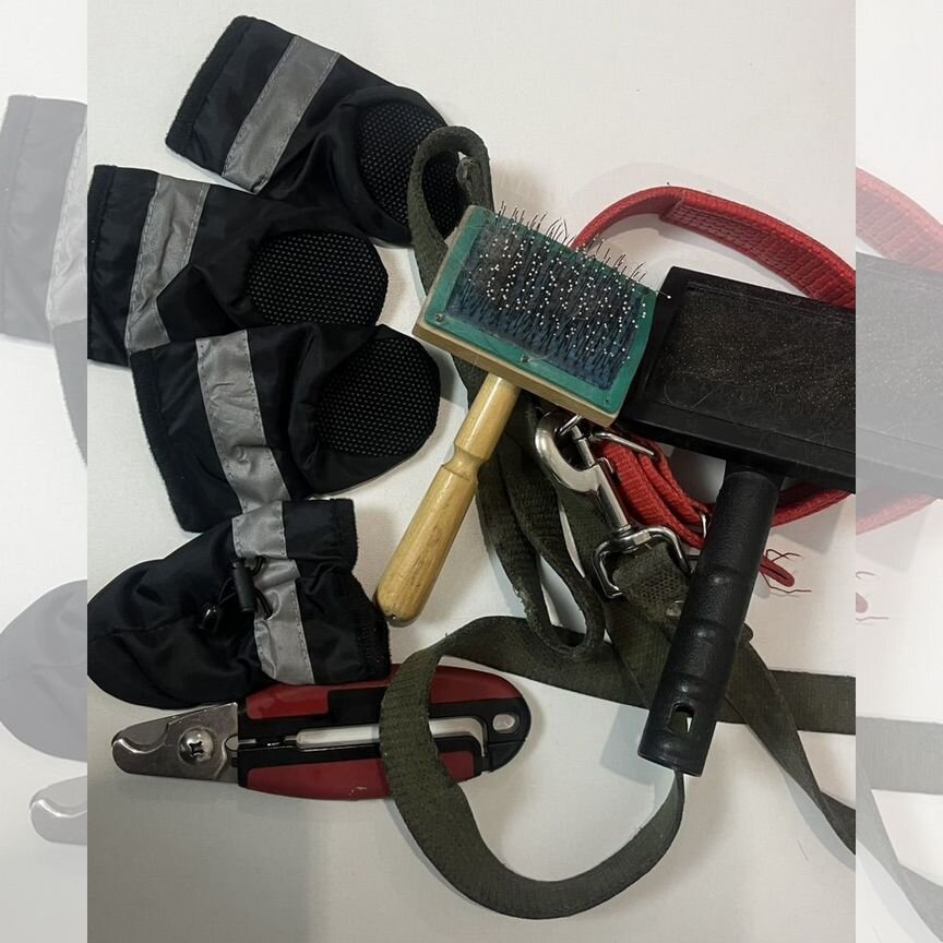 Обувь для собак средних пород