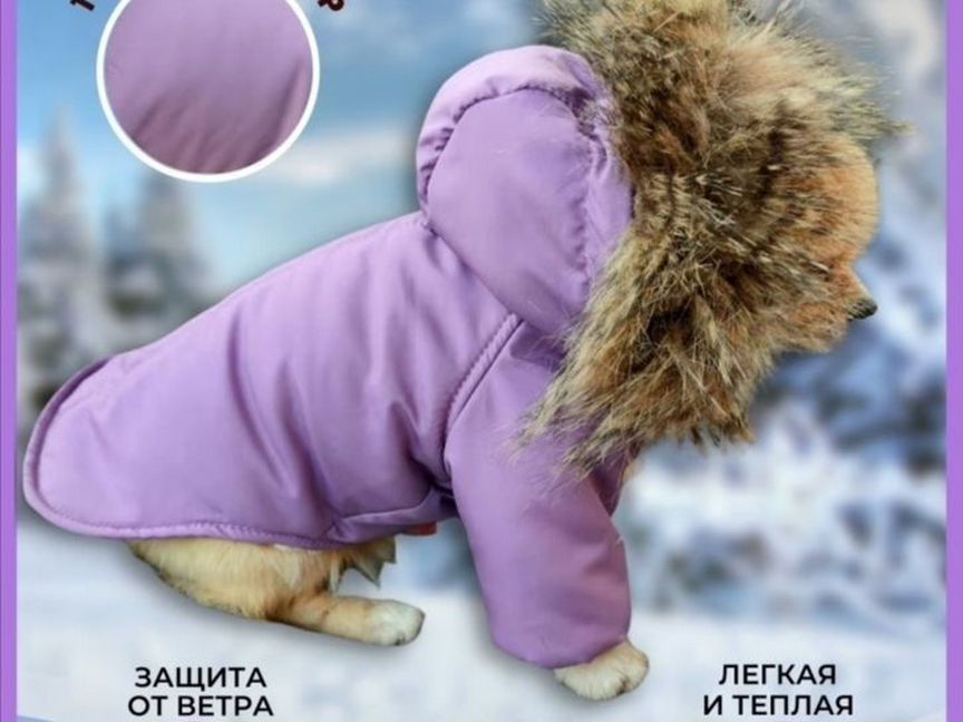Новая парка для собак