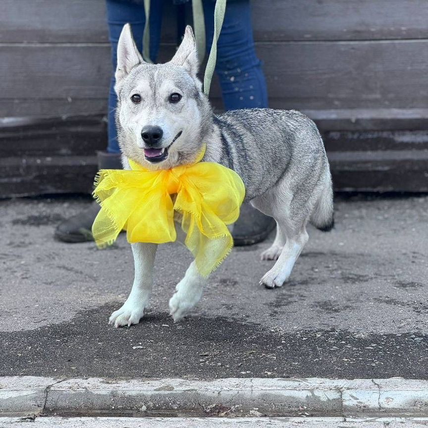 Казнить нельзя, спасти Еву