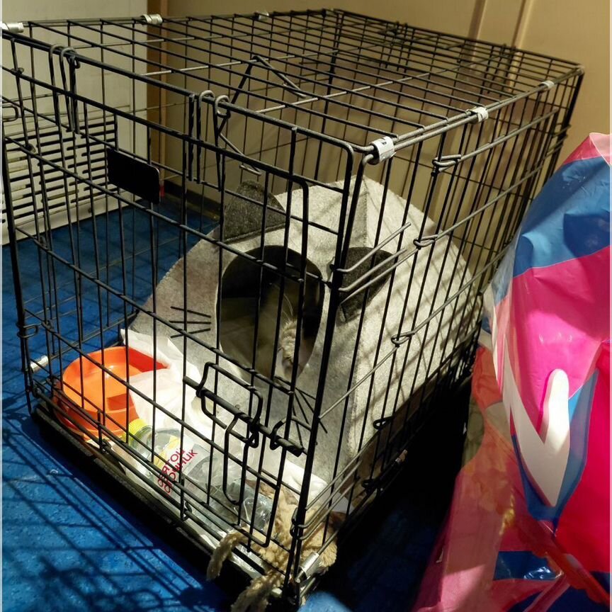 Клетка для перевозки животных (собак, котов)