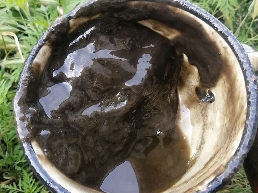 Фуза подсолнечная