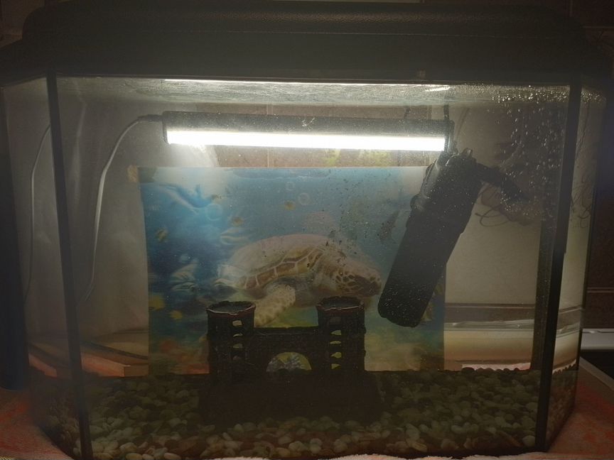 Продам аквариум высота 35 см,ширина 55 см